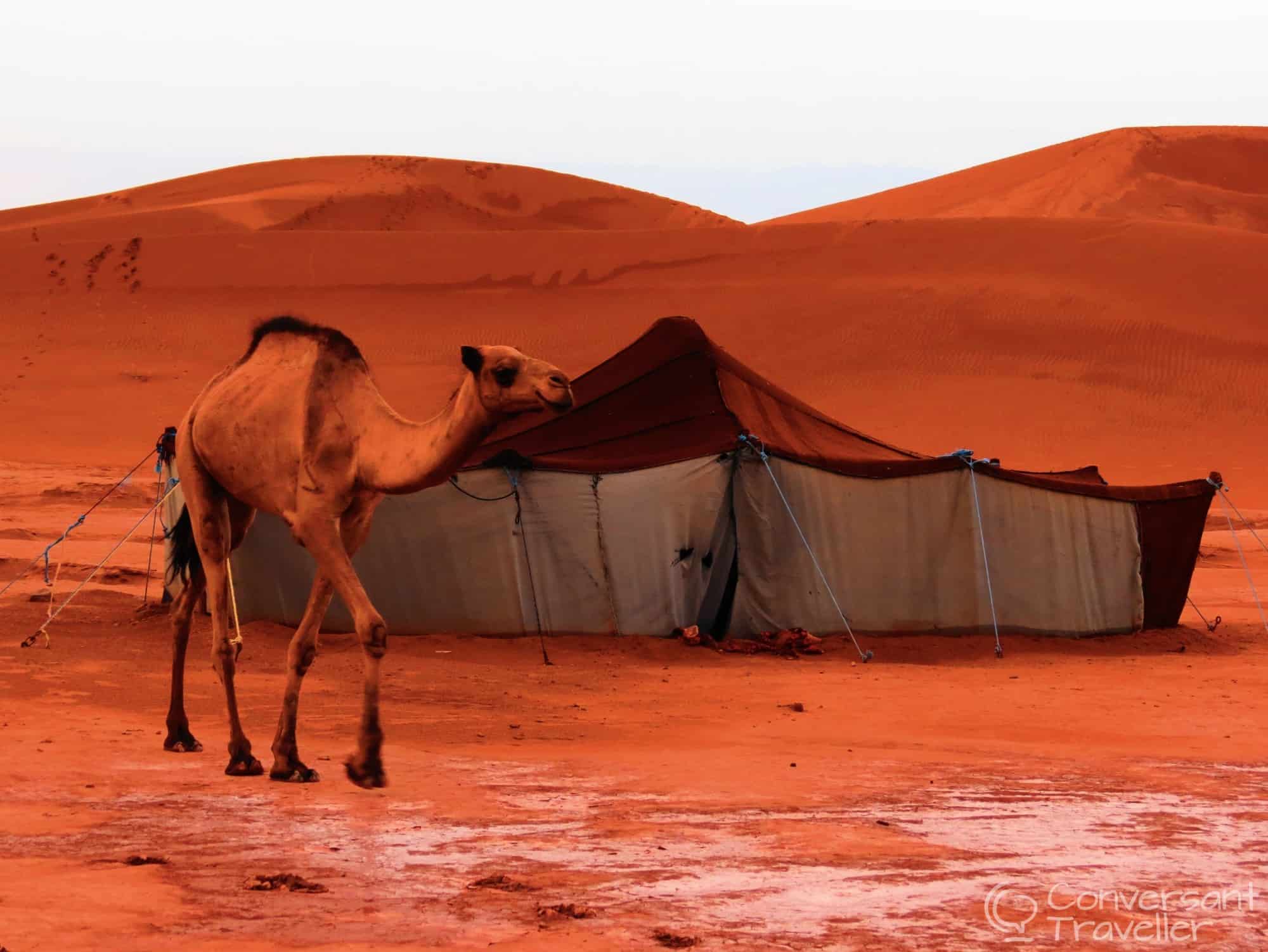Erg Chigaga camp: Sirocco in the Sahara - Conversant Traveller