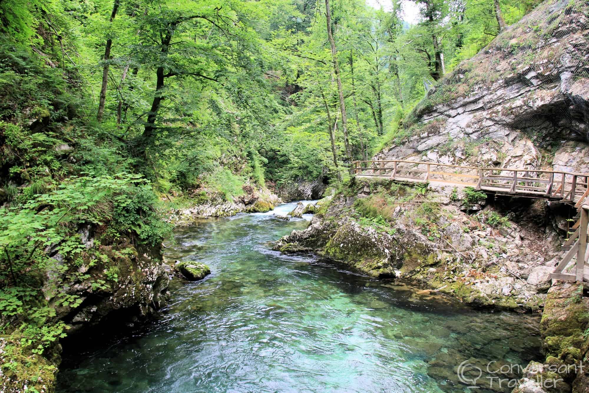 A spectacular walk in the Vintgar Gorge - Conversant Traveller