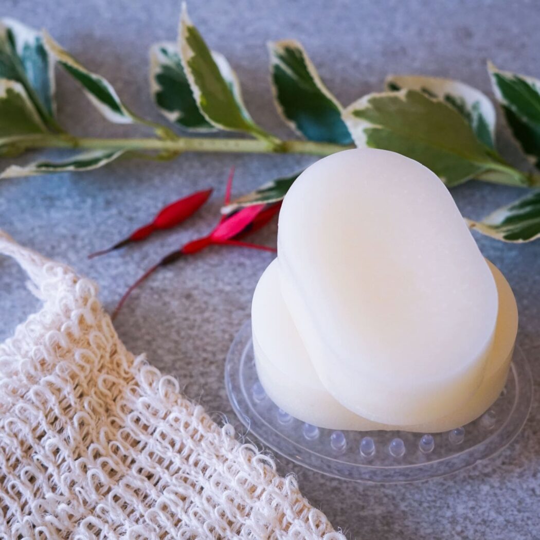 LUSH solid shampoo review - and alternative best solid shampoos for ...
