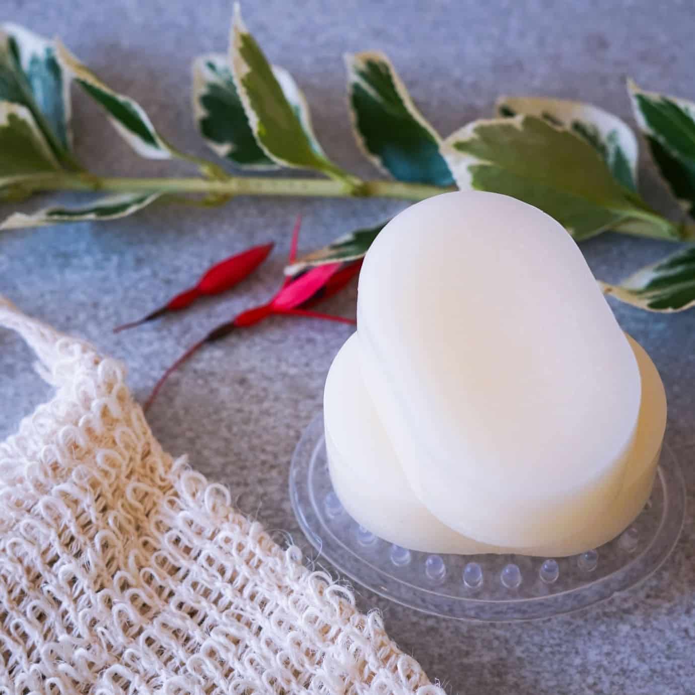 LUSH solid shampoo review - and alternative best solid shampoos for ...