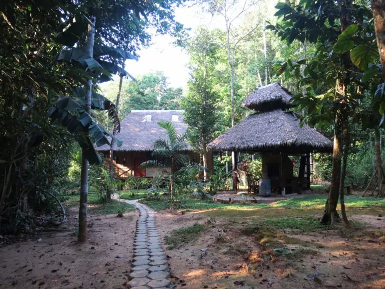Remote Luxury Amazon Jungle Tour in Tambopata - Conversant Traveller