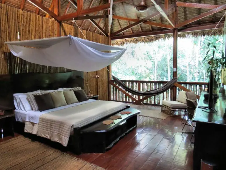 Remote Luxury Amazon Jungle Tour in Tambopata - Conversant Traveller