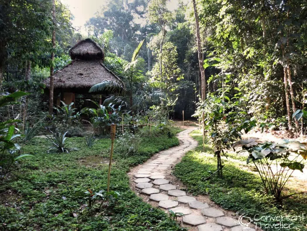 Remote Luxury Amazon Jungle Tour in Tambopata - Conversant Traveller