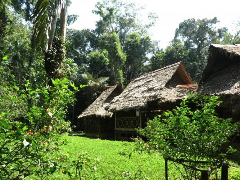Inkaterra Reserva Amazonica jungle treehouse - Conversant Traveller