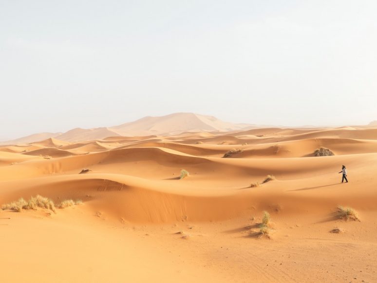Unique outdoor adventures in the Arabian Peninsula - Conversant Traveller