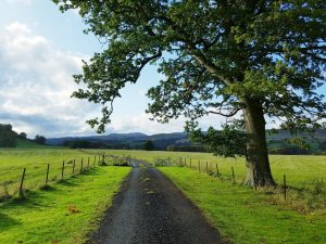 East Gatehouse Lodge, Crieff - a Luxury Scotland Staycation