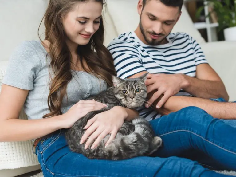 How to House-Sit Your Way Around the World, for Free - Conversant Traveller