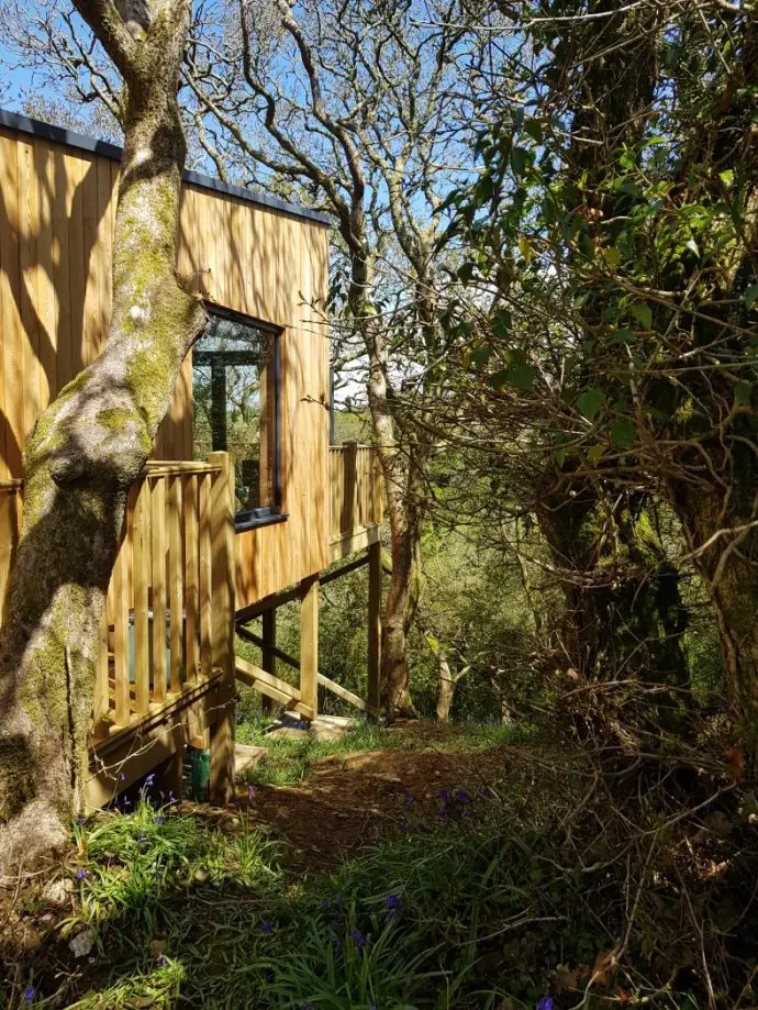 Hot tub holidays in Cornwall at Wrinklers Wood Treehouse - Conversant ...
