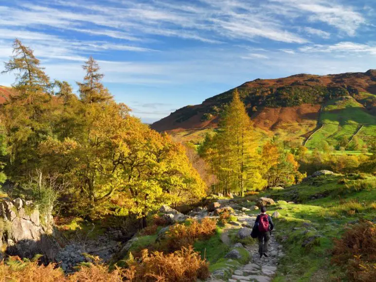 A Lake District Autumn – top leaf display locations - Conversant Traveller