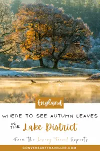 A Lake District Autumn – top leaf display locations - Conversant Traveller