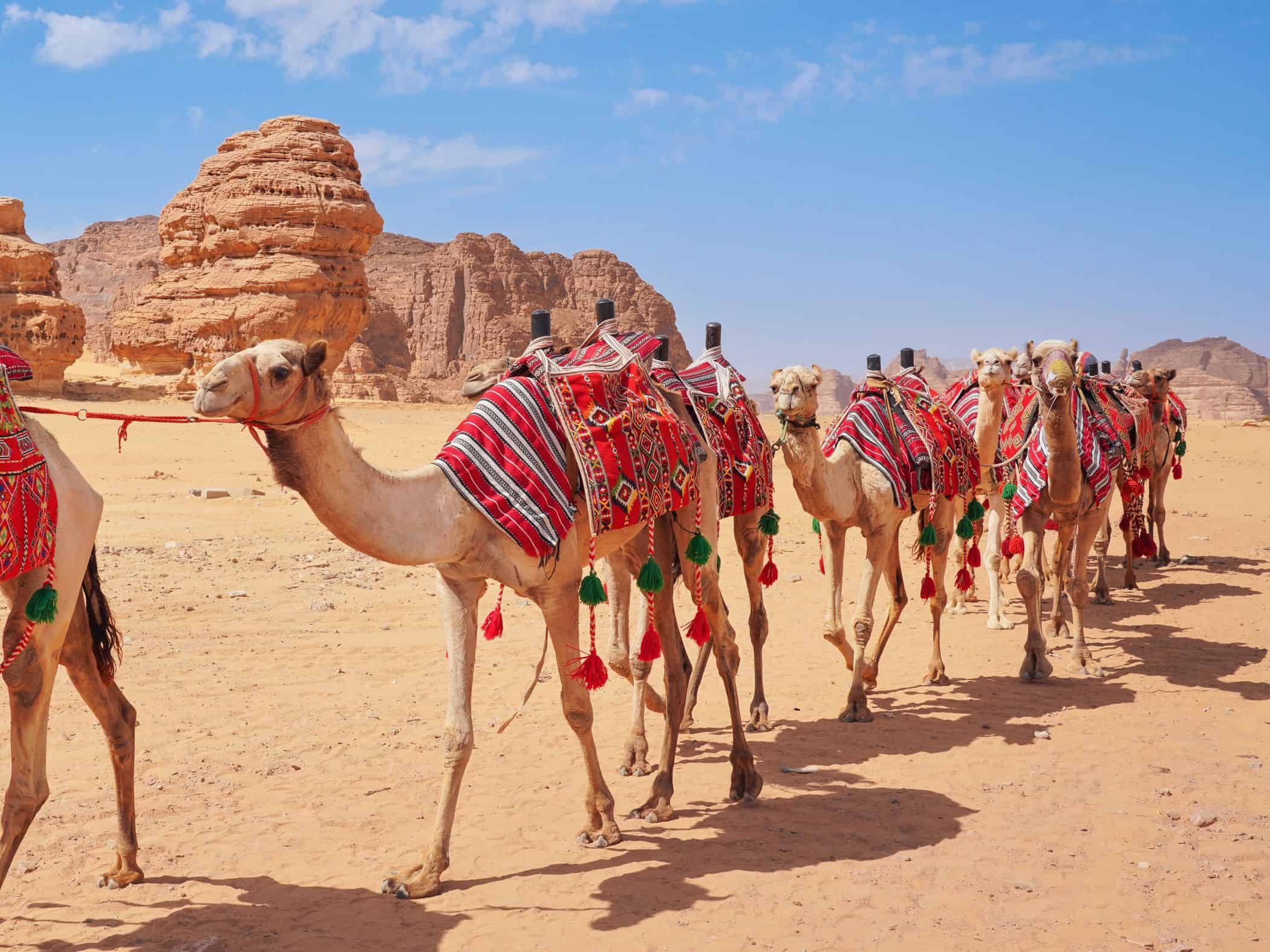 Ultimate Saudi Arabia Bucket List: Must-See Destinations for First ...