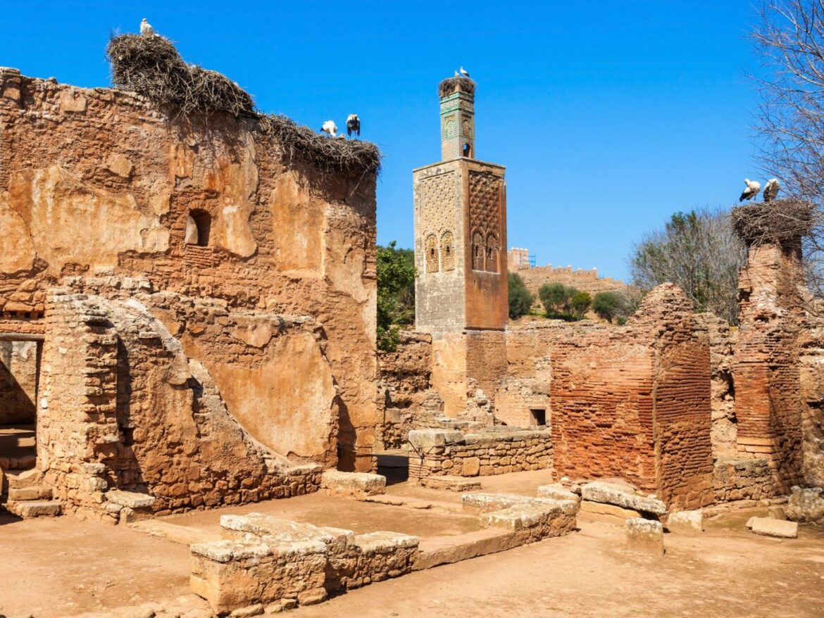 WIN Wild Guide Morocco: Review and Giveaway - Conversant Traveller